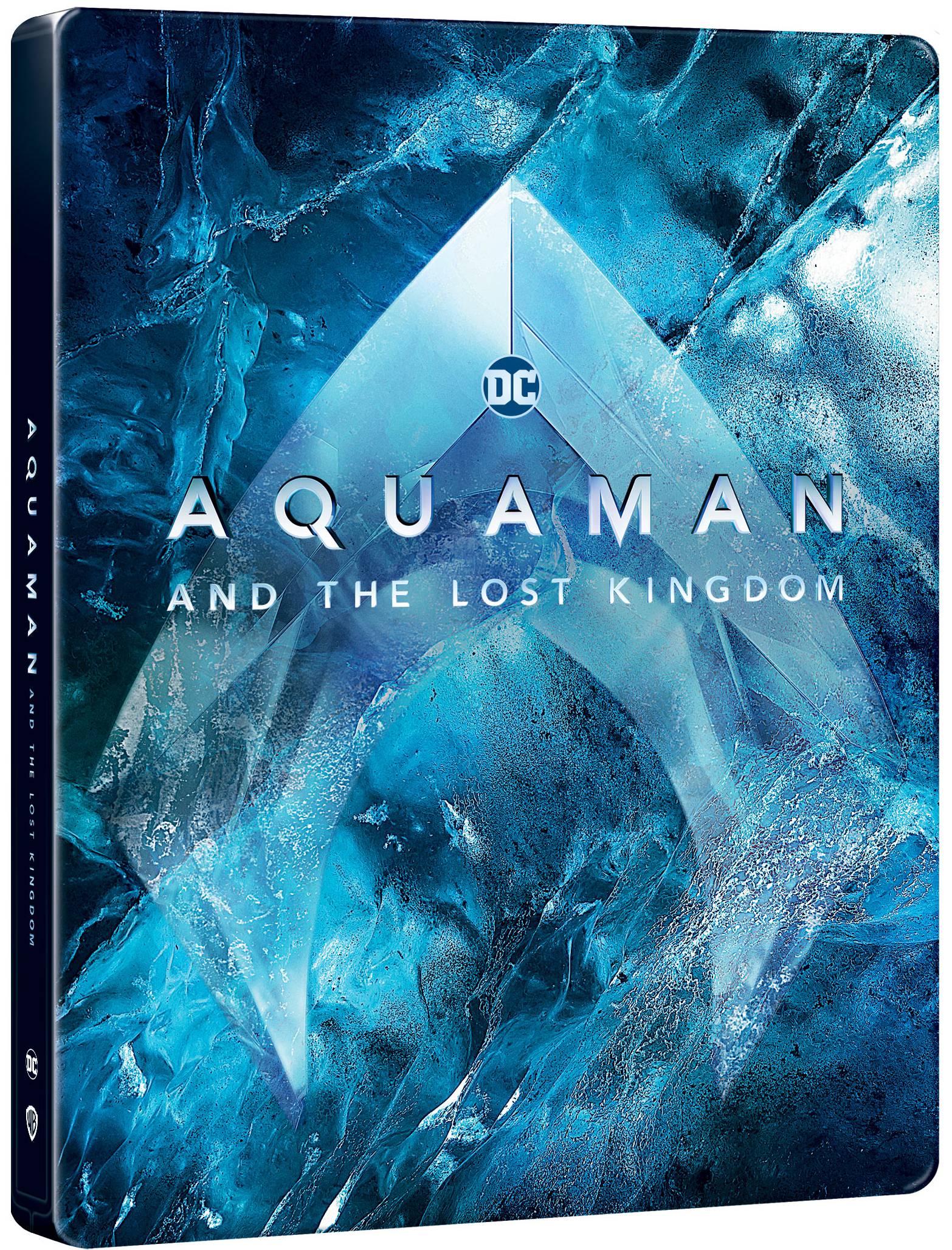 Aquaman a ztracené království - 4K UHD Blu-ray + Blu-ray 2BD Steelbook ...